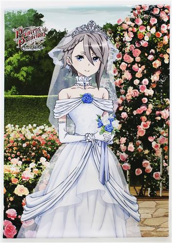 プリンセス・プリンシパル Crown Handler 描き下ろしB2タペストリー Wスエード アンジェ ウエディング ﾌﾟﾘﾝｾｽﾌﾟﾘﾝｼﾊﾟﾙｸﾗｳﾝﾊﾝﾄﾞﾗｰｶｷｵﾛｼB2 ...
