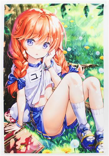 プリンセスコネクト!Re:Dive B2タペストリー ユニ [藤真拓哉][ESSENTIA] ﾌﾟﾘﾝｾｽｺﾈｸﾄﾘﾀﾞｲﾌﾞB2ﾀﾍﾟｽﾄﾘｰﾕﾆ 男性向同人 同人グッズ 抱き枕カバー ...