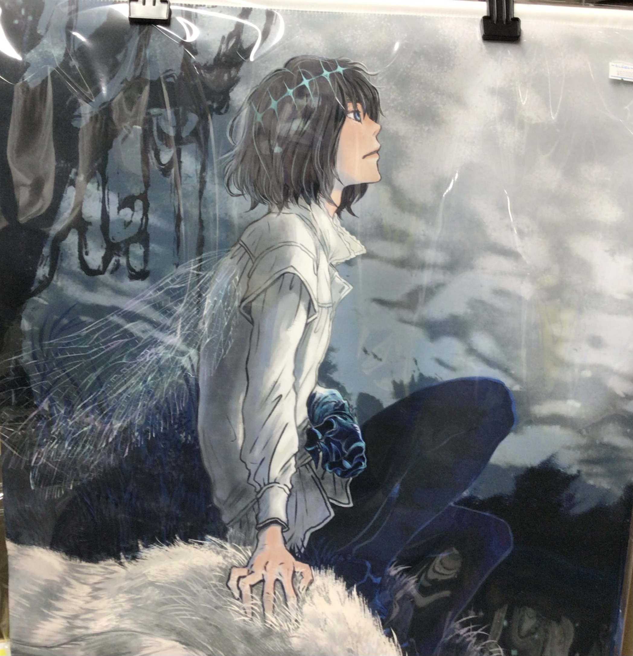 Fate/Grand Order C103 Fate/Grand Order Premium Tapestry 2023 オベロン(プリテンダー) ﾌｪｲﾄｸﾞﾗﾝﾄﾞｵｰﾀﾞｰｺﾐｯｸ ...