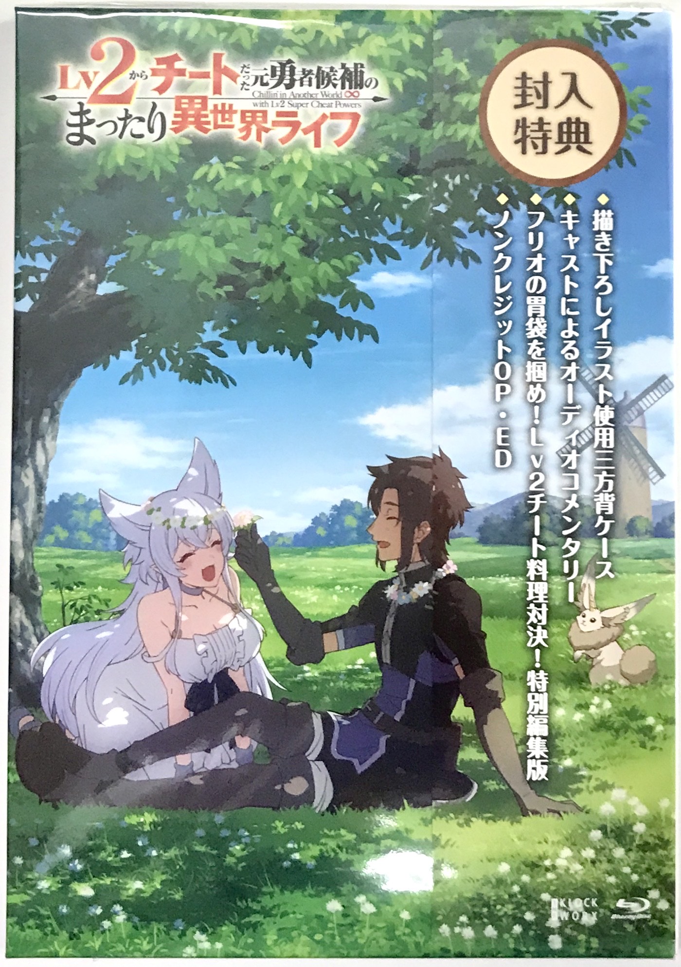 Lv2からチートだった元勇者候補のまったり異世界ライフ Blu-ray BOX 【ブルーレイ】 ﾚﾍﾞﾙ02ｶﾗﾁｰﾄﾀﾞｯﾀﾓﾄﾕｳｼｬｺｳﾎﾉﾏｯﾀﾘｲｾｶｲﾗｲﾌﾌﾞﾙｰﾚｲﾎﾞｯｸｽ ...