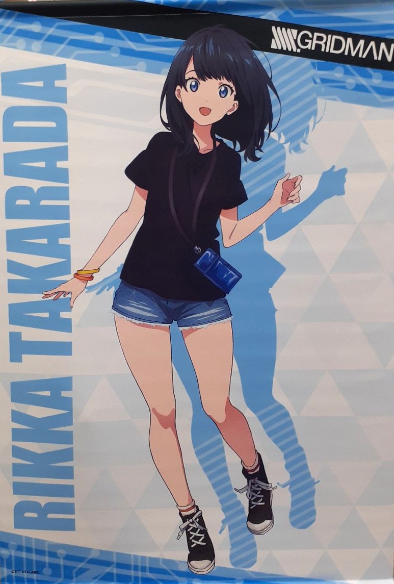 SSSS.GRIDMAN B2タペストリー 宝多六花 ｸﾞﾘｯﾄﾞﾏﾝB2ﾀﾍﾟｽﾄﾘｰﾀｶﾗﾀﾞﾘｯｶ グッズ タペストリー タペストリー(一般) / アニメグッズ・ゲーム・同人誌の中古販売 ...